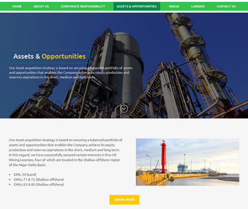 Website Redesign for First E&P - CKDIGITAL